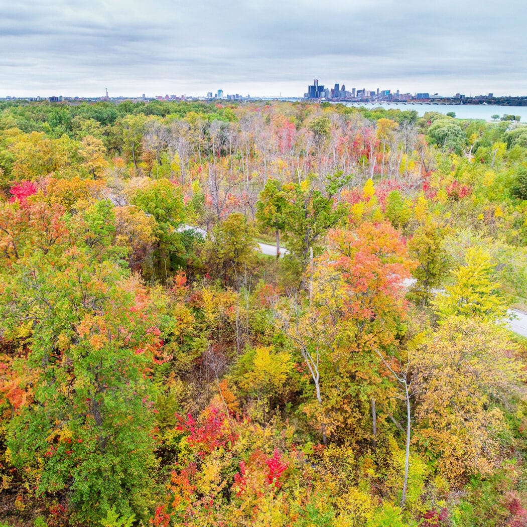 Top 5 Best Places to See the Michigan Fall Colors | Treadstone Funding