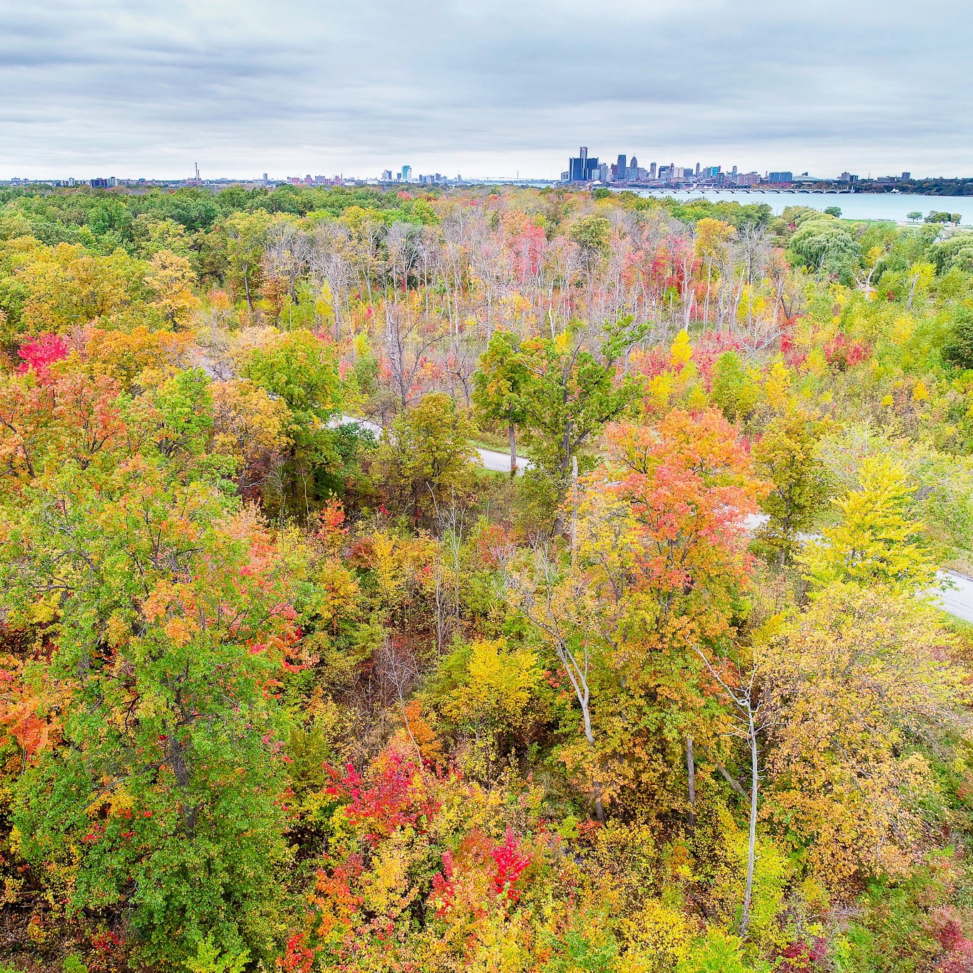 Top 5 Best Places to See the Michigan Fall Colors | Treadstone Funding