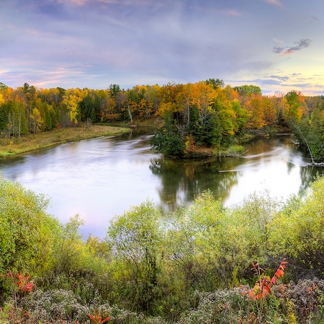 Top 5 Best Places to See the Michigan Fall Colors | Treadstone Funding