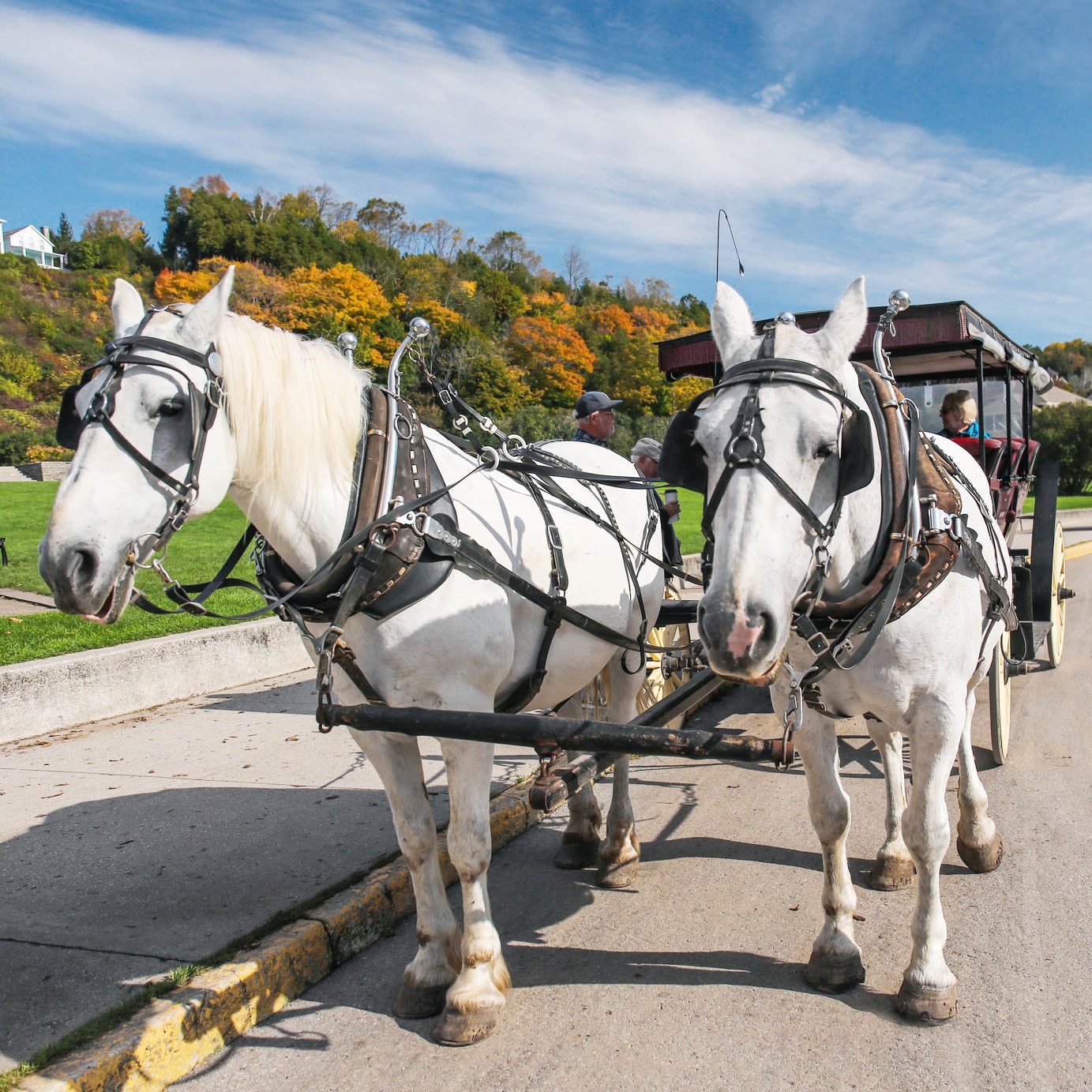 3 Kid-Friendly Road Trips from Grand Rapids | Treadstone Funding