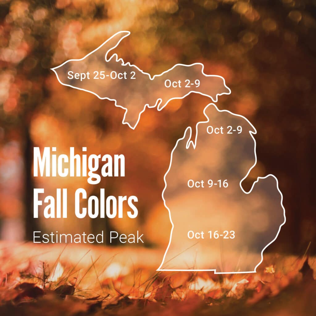 Top 5 Best Places to See the Michigan Fall Colors | Treadstone Funding